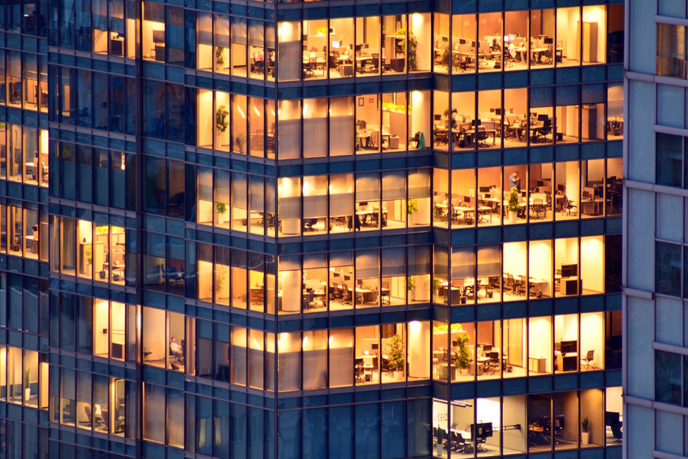 Who We Are - GWT Insight